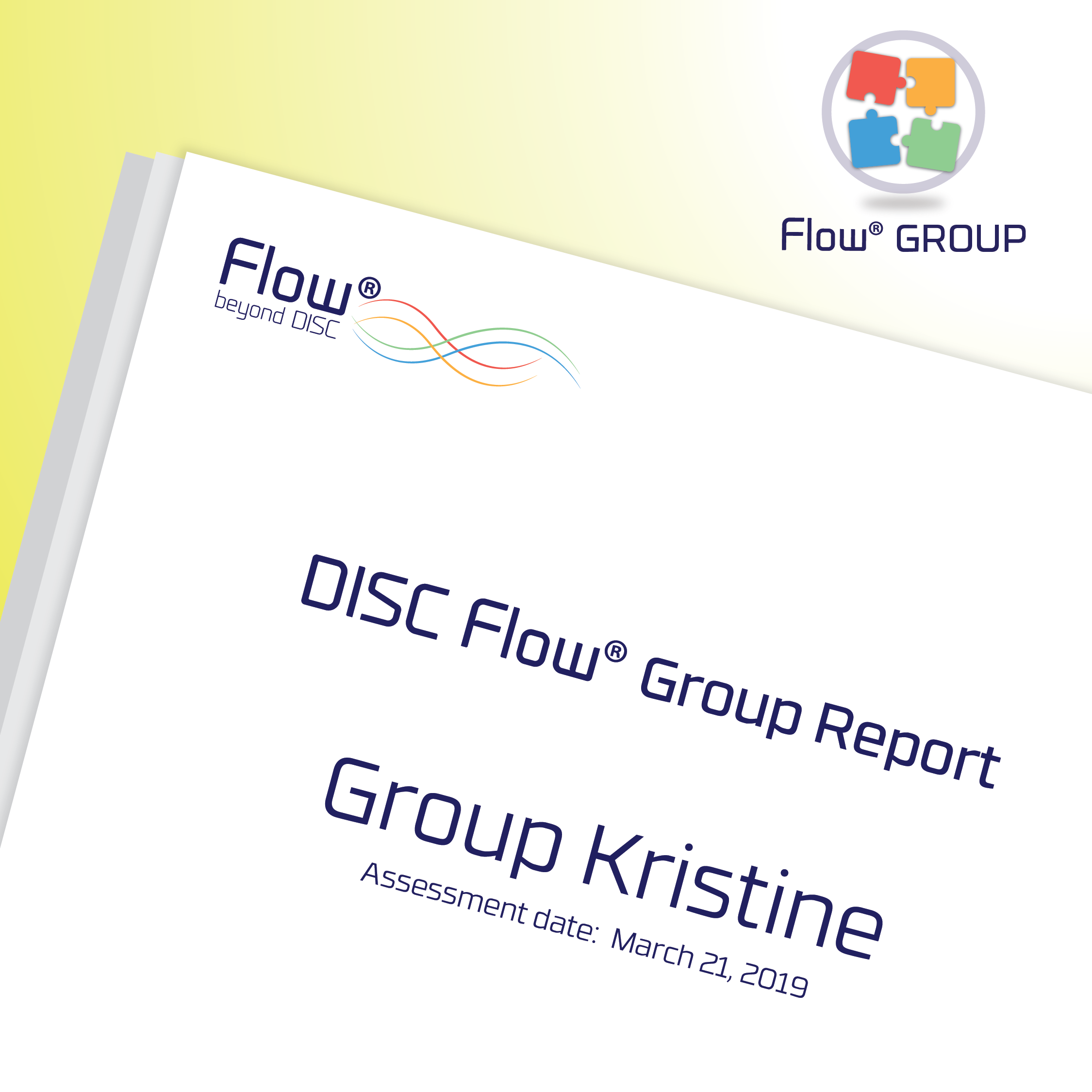 DISC Flow® Group Report | Online Assessment – DISC Flow SG