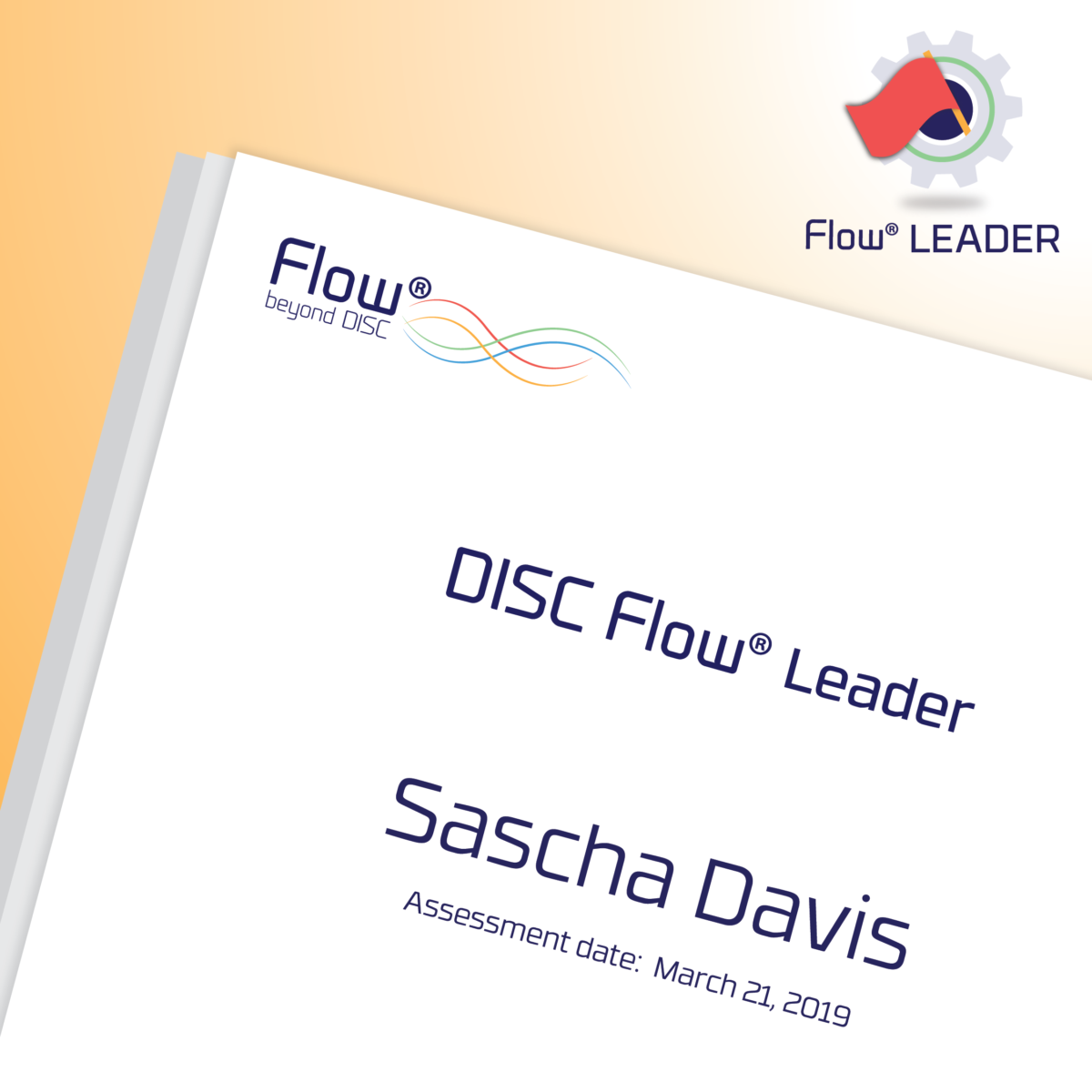DISC Flow® Leader Report | Online Assessment – DISC Flow SG