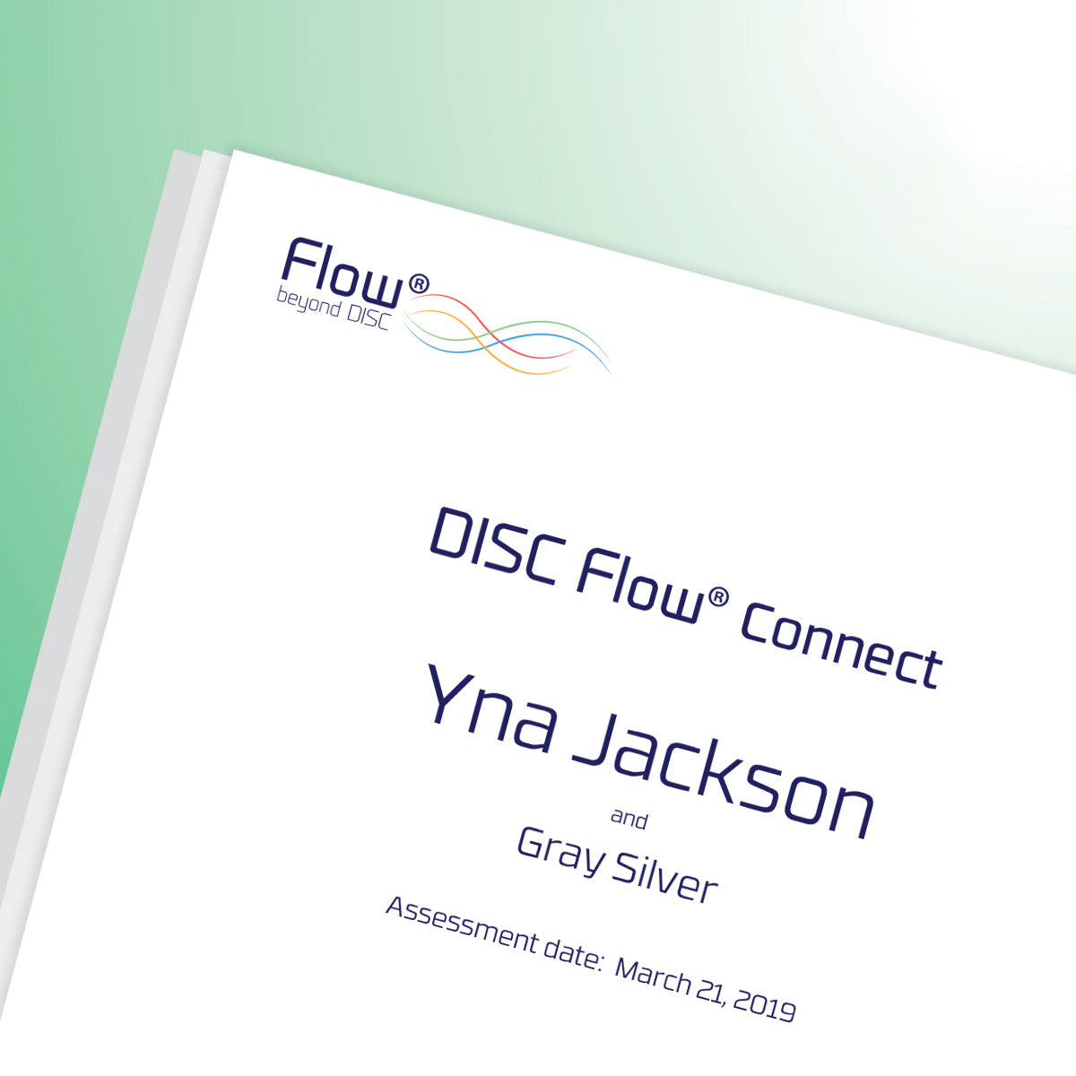 DISC Flow® Connect Report | Online Assessment – DISC Flow SG